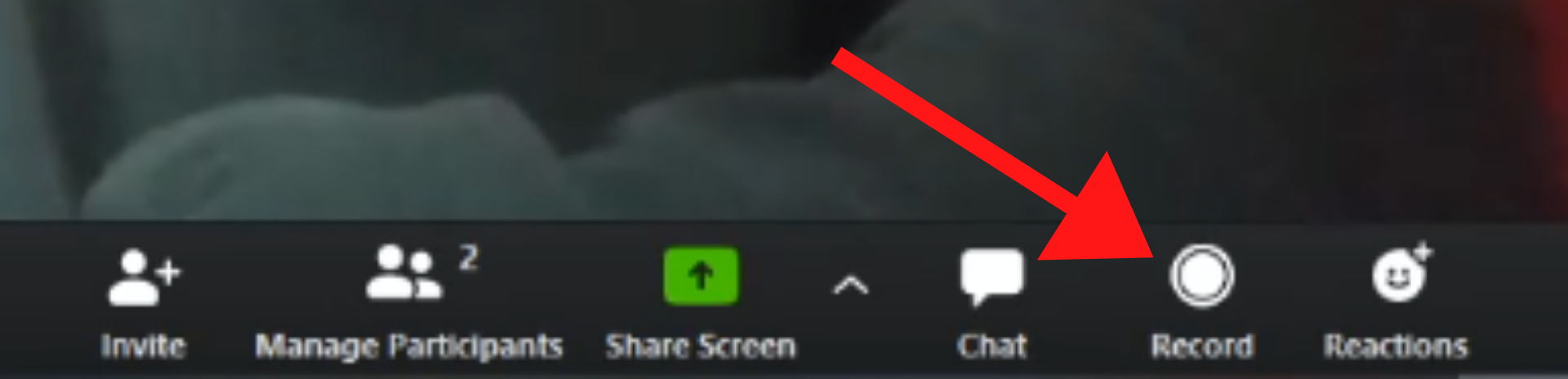 How To Edit ZOOM Video Veed